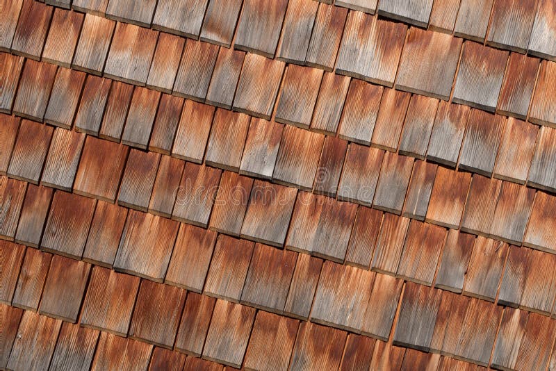 Ripias de madera foto de archivo. Imagen de primer, travieso - 94444930