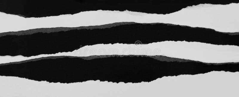 Ripped Black and White Paper Stock Image - Image of ragged, pieces ...