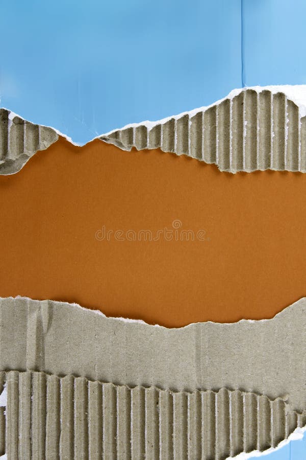 Ripped cardboard stock image. Image of blank, grunge - 24083717