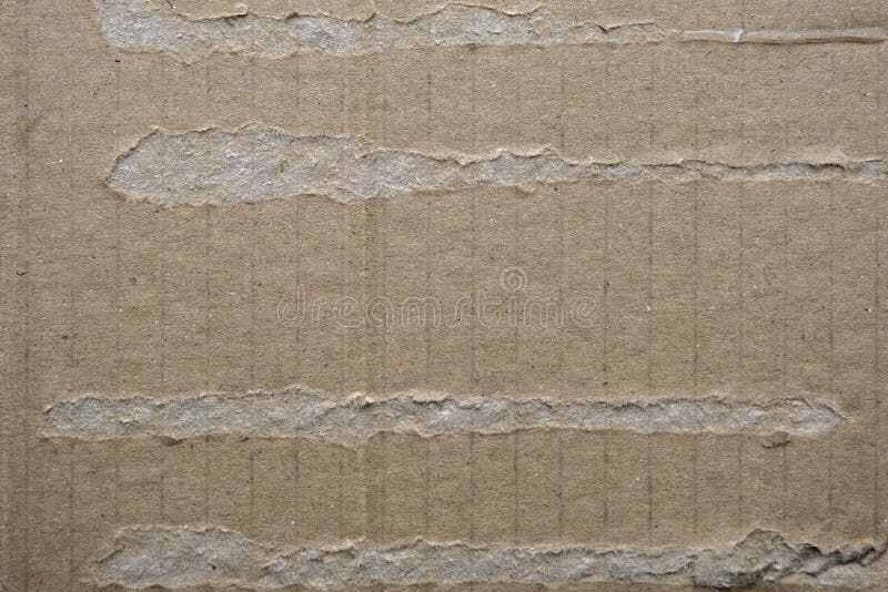 Ripped cardboard texture stock photo. Image of ridged - 264140036