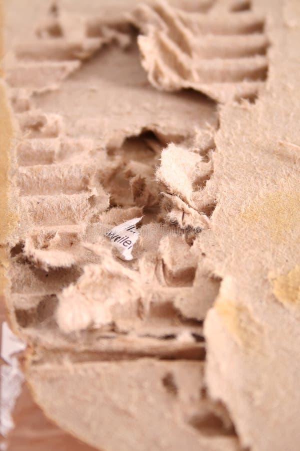 Torn parchment stock image. Image of texture, aged, damage - 796121