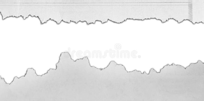 Ripped grey paper on white stock image. Image of empty - 362200593