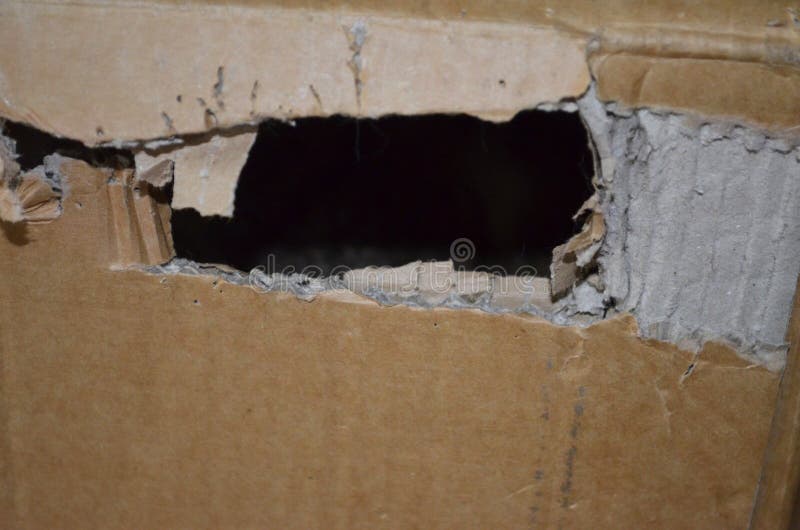 Hole Ripped In Corrugated Cardboard Stock Image - Image of brown, card ...