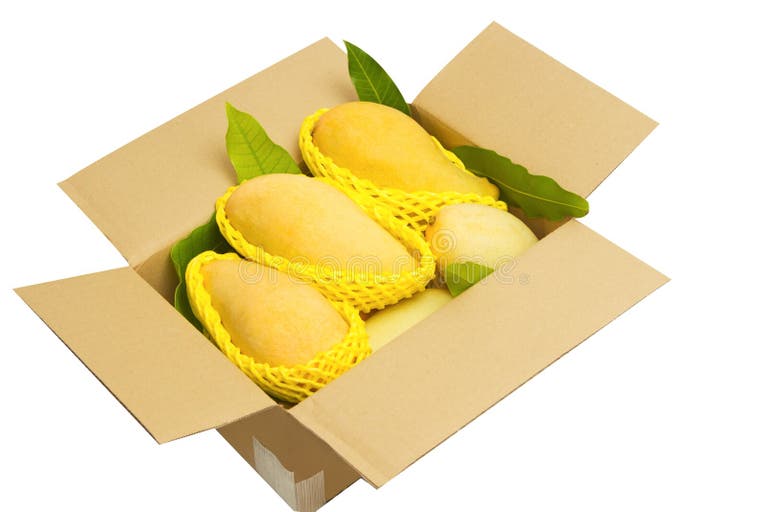 Mango Export Box Stock Photos - Free & Royalty-Free Stock Photos from ...