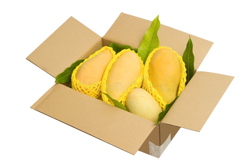 Mango Export Box Stock Photos - Free & Royalty-Free Stock Photos from ...