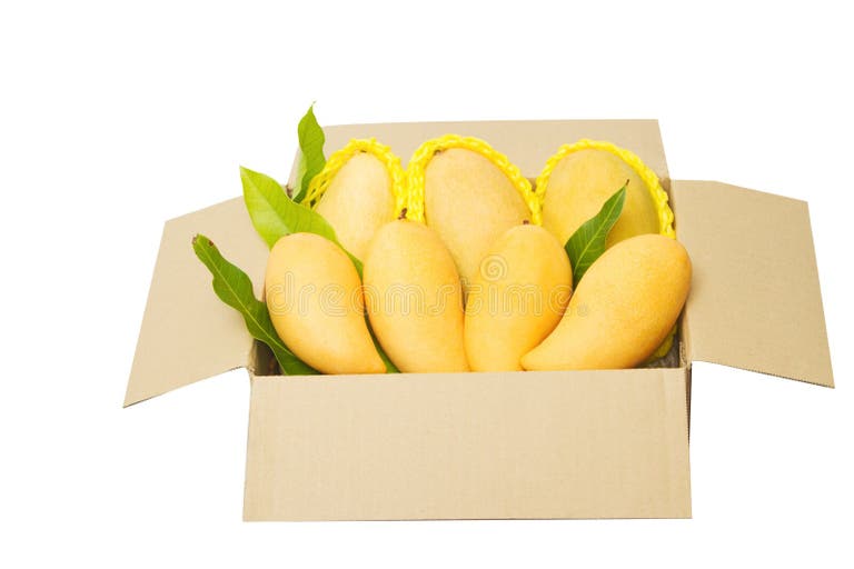 Mango Export Box Stock Photos - Free & Royalty-Free Stock Photos from ...