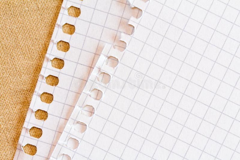 Ripped Notepad Sheet with Rough Edges Stock Photo - Image of note ...