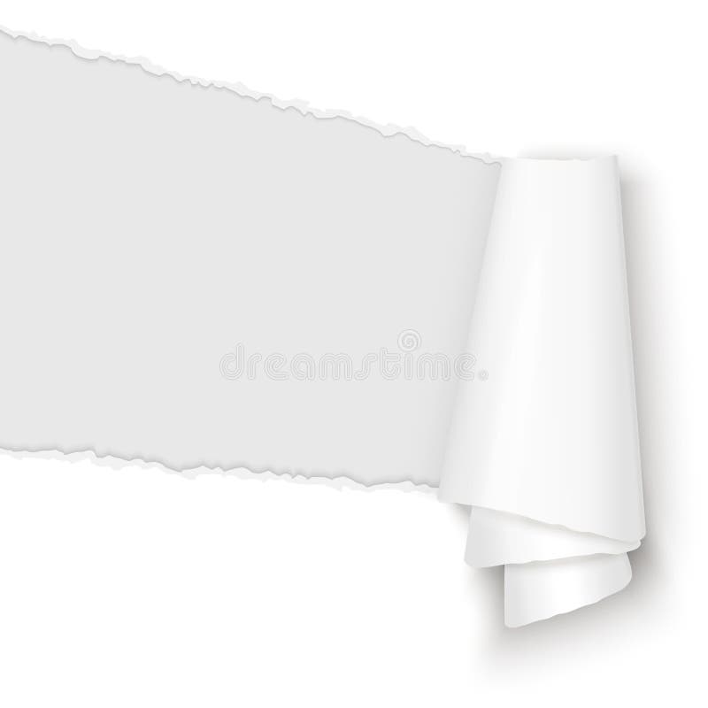 Ripped open paper white stock vector. Illustration of paperboard - 50029650