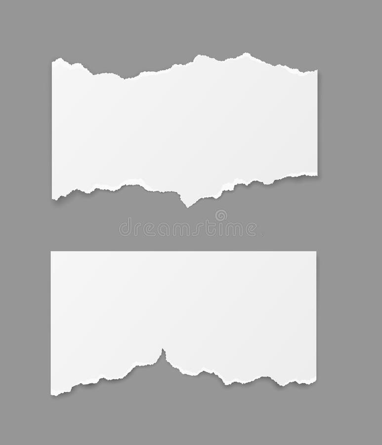 Ripped Out Blank Paper Strips Realistic Illustration Set Stock Vector ...