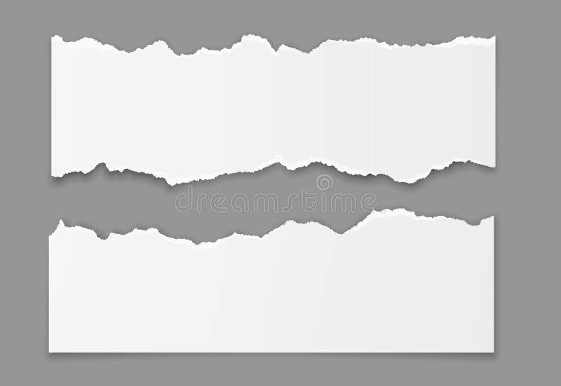 Ripped Out Blank Paper Strips Realistic Illustration Set Stock Vector ...