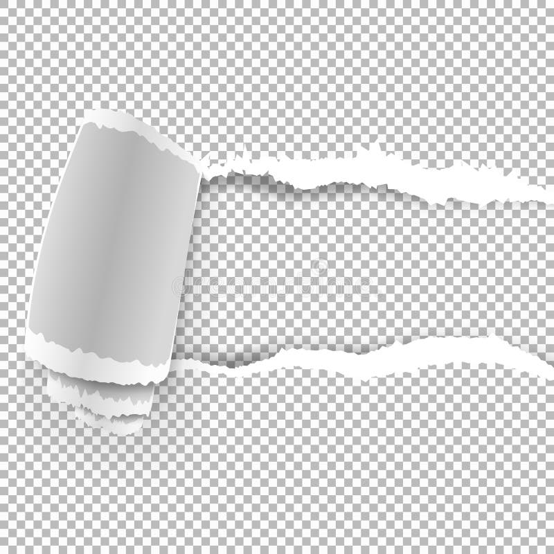 Ripped Paper with Ripped Edges Stock Vector - Illustration of white ...