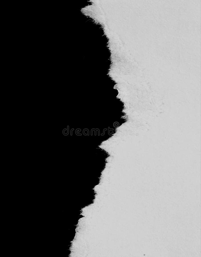 Ripped Paper and Torn Paper Stock Image - Image of mono, notepad: 77168645