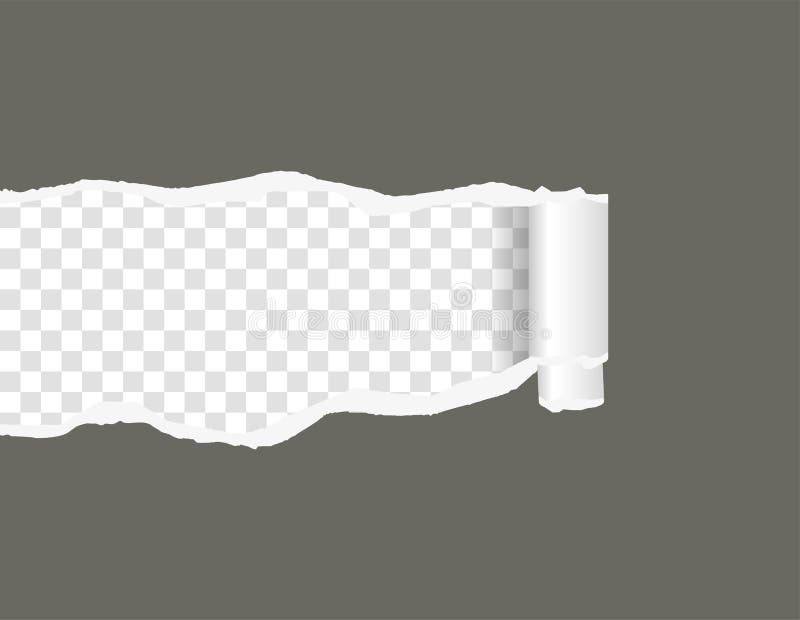 Ripped Paper. Torn, Ripped Pieces. Vector Illustration. Stock Vector ...