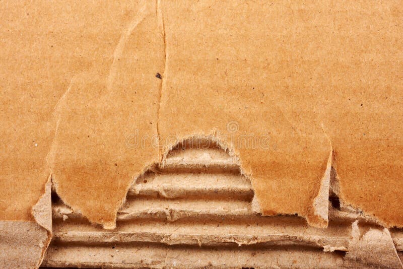 Ripped Piece Of Cardboard Picture. Image: 7018211