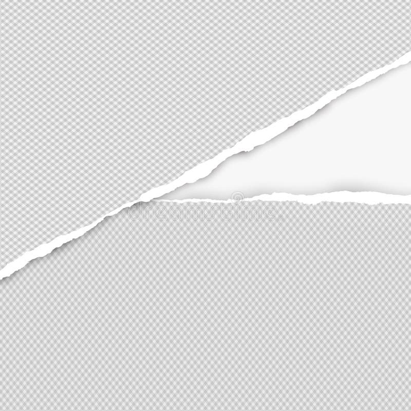 Diagonal Ripped Paper Background Stock Illustrations – 241 Diagonal ...