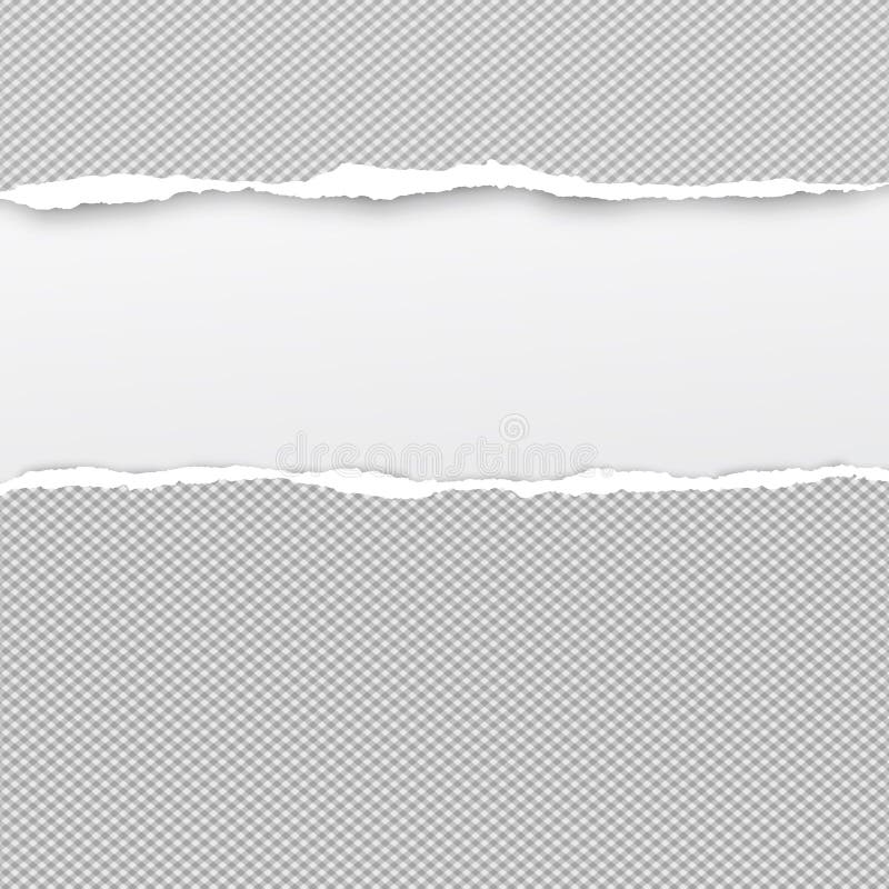 Diagonal Ripped Paper Background Stock Illustrations – 241 Diagonal ...