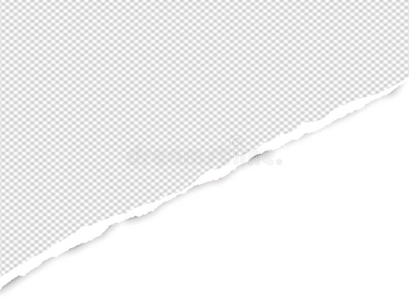 Diagonal Ripped Paper Background Stock Illustrations – 241 Diagonal ...