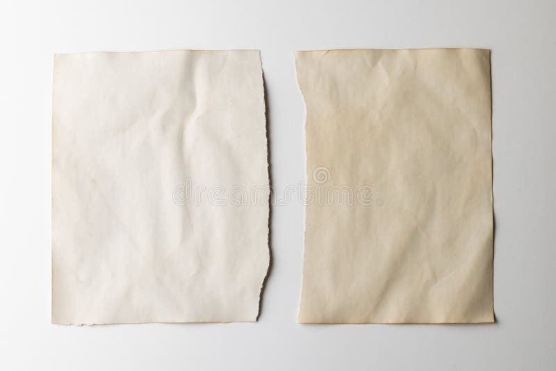 Ripped Up Pieces of Beige Paper with Copy Space on White Background ...
