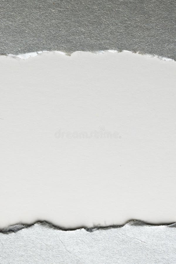 Ripped Up Pieces of Gray Paper with Copy Space on White Background ...