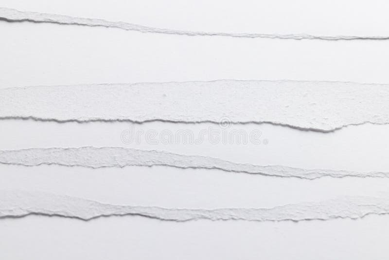 Ripped Up Pieces of White Paper with Copy Space on White Background ...