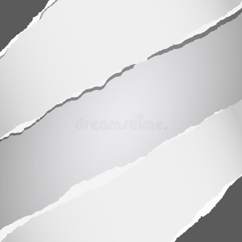 Ripped White Notebook Sheet, Torn Paper in Corners Stock Vector ...