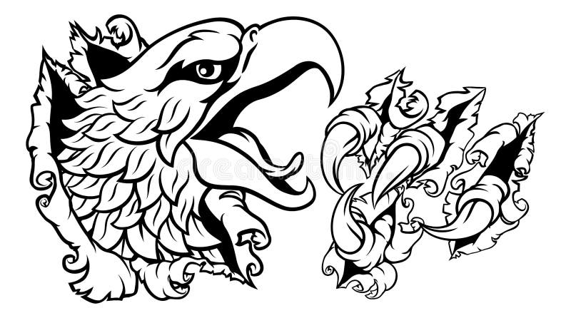 Hawk Talons Drawing Stock Illustrations – 1,956 Hawk Talons Drawing ...