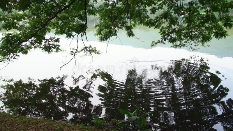 Ripple on the Calm Surface of a Lagoon with Sky Reflection from Thrown ...