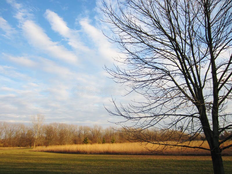 Ripple Clouds stock image. Image of rippled, clouds, skies - 46936873