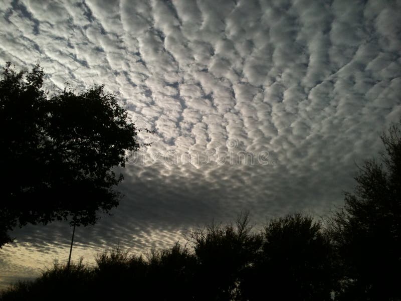 Ripple Clouds stock photo. Image of trees, billowy, sunset - 78296684