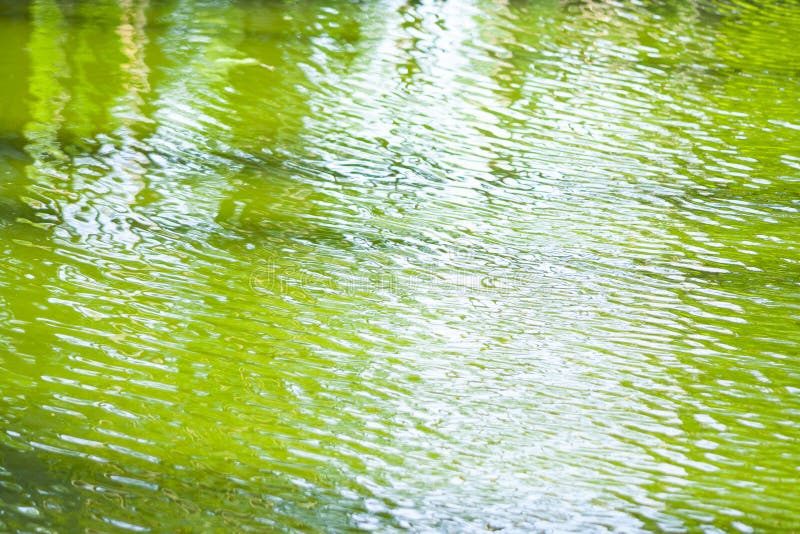 Ripple green water texture stock photo. Image of pure - 165379810