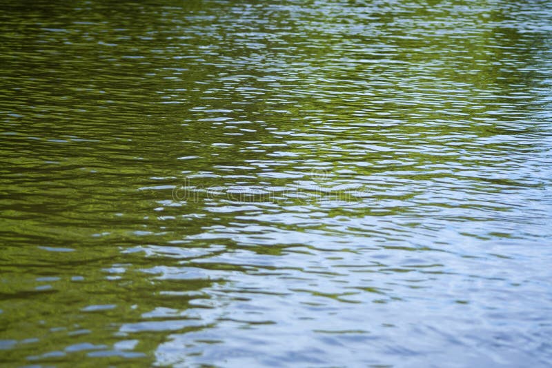 Ripple Green Water Texture with Reflections of Stock Image - Image of ...