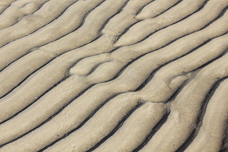 Ripple marks on the beach stock photo. Image of outdoors - 24805278