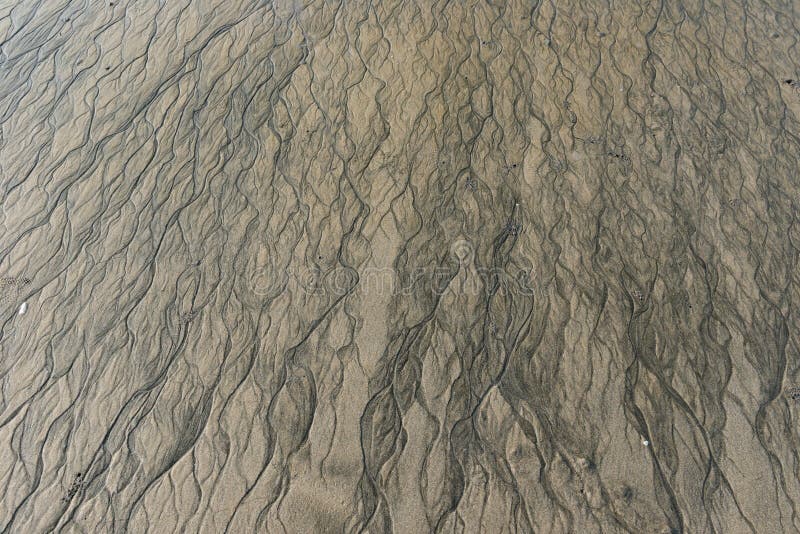Ripple marks on sand beach stock image. Image of shore - 130018635