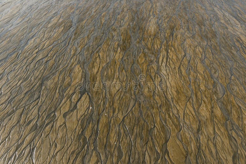 Ripple marks on sand beach stock image. Image of sandy - 134766581