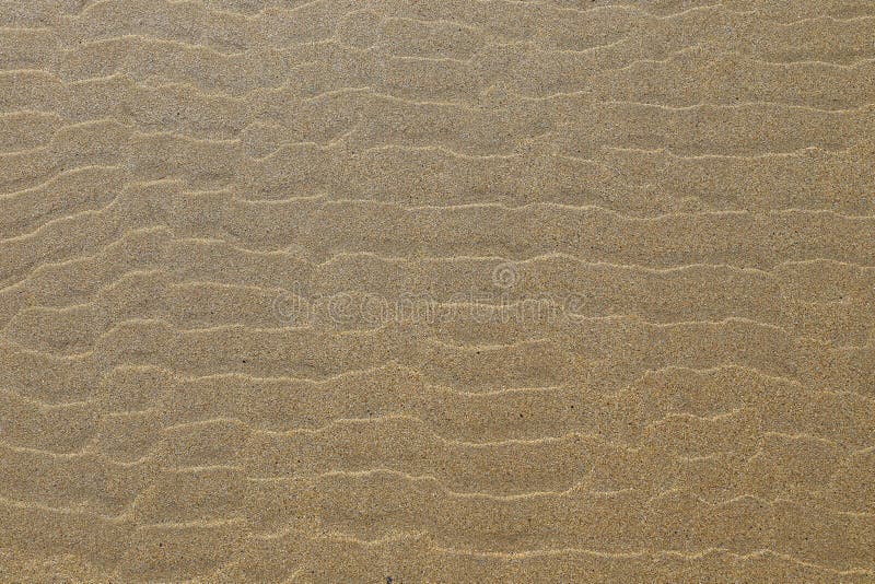Ripple marks stock image. Image of tide, corrugation - 90875989