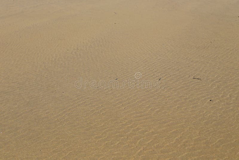 Ripple marks stock photo. Image of coast, wave, shore - 90876662