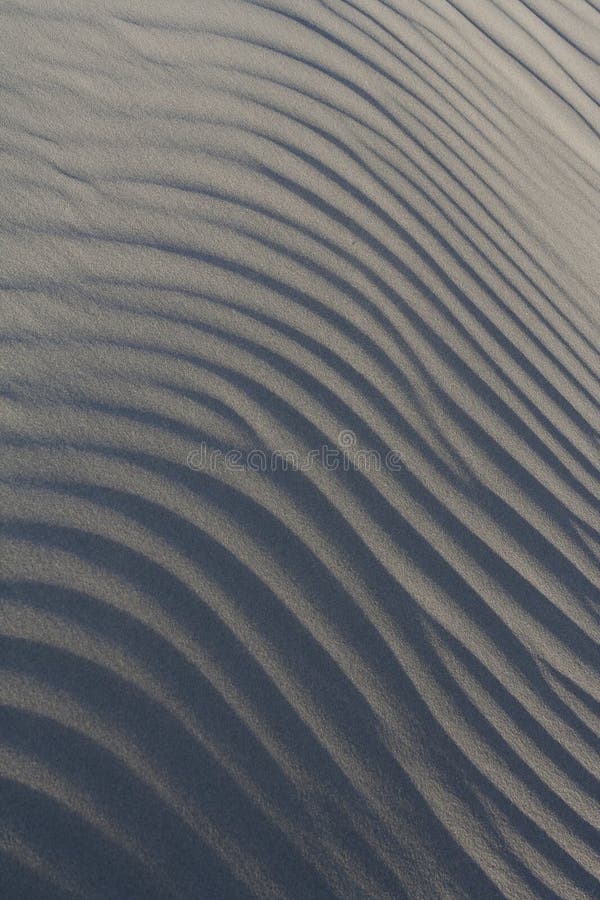 Ripple Marks are Sedimentary Structures and Indicate Agitation by Water ...