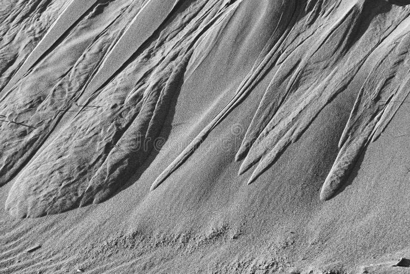 Ripple Marks (wind Ripples) on the Sandy Beach. Stock Photo - Image of ...
