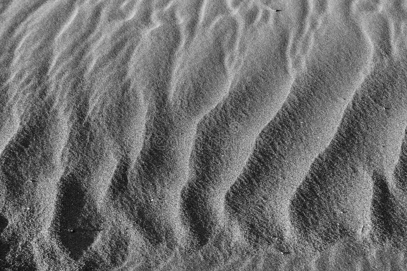 Ripple Marks (wind Ripples) on the Sandy Beach. Stock Photo - Image of ...
