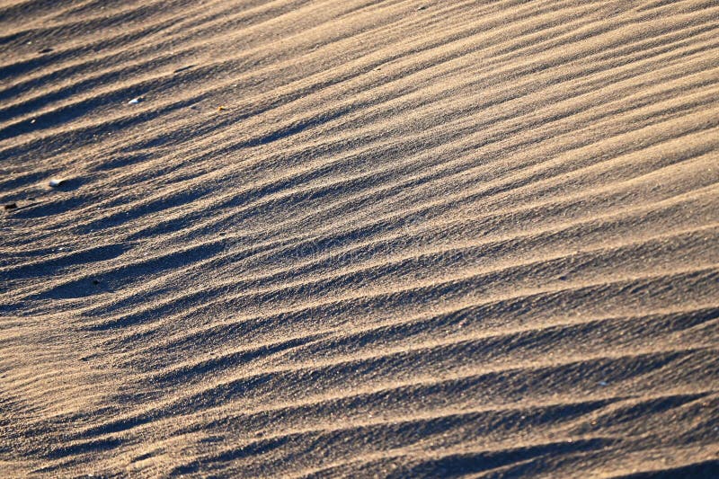 Ripple Marks (wind Ripples) on the Sandy Beach. Stock Photo - Image of ...
