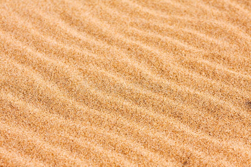 Patterns in the Beach Sand Made by Sand Worms Stock Image - Image of ...