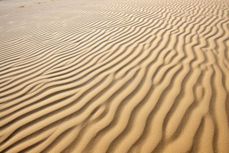 Ripple Patterns and Animal Foot Track Stock Photo - Image of hermit ...