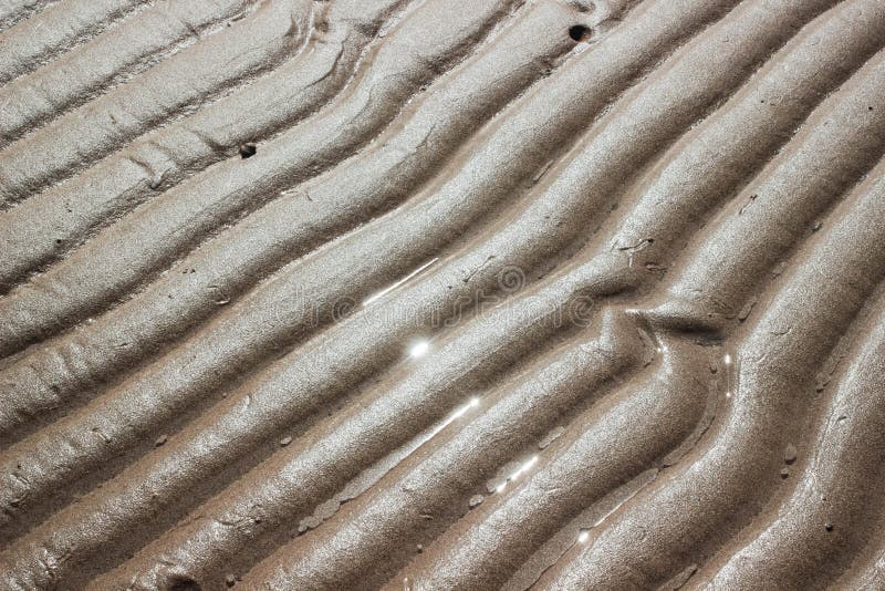 Ripple sand on the beach stock photo. Image of textured - 91904008