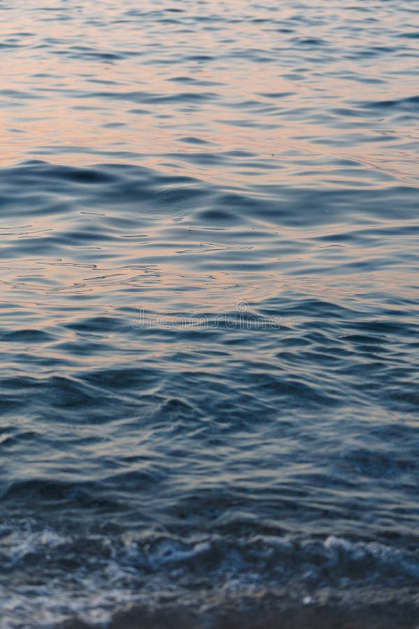 Ripple Sea Ocean Water Surface with Golden Sunset Light. Sea Wave Close ...