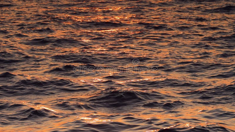Ripple Sea Wave. Ocean Waves Shining on Sunrise Sun. Stock Footage ...