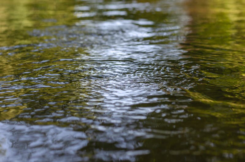 A Ripple on the Surface of a Forest River or Stream Stock Photo - Image ...