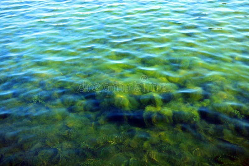 Ripple on water stock image. Image of pond, wind, turquoise - 7590343
