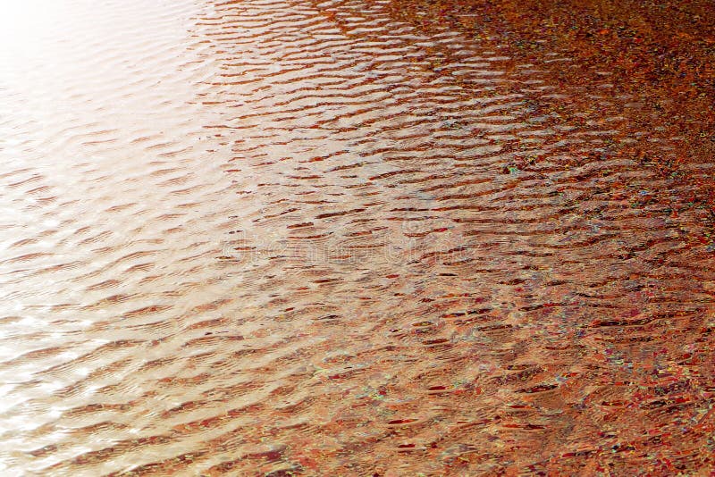 Golden Ripple Texture Cheese Stock Photos - Free & Royalty-Free Stock ...