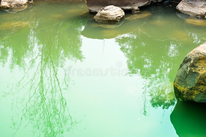 18,460 Pond Ripple Water Photos - Free & Royalty-Free Stock Photos from ...