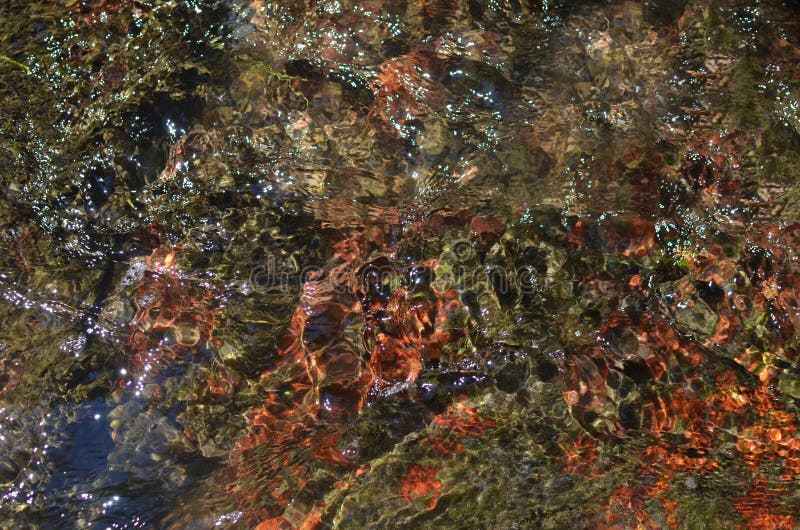 River water bottom stock photo. Image of color, flowing - 102279230